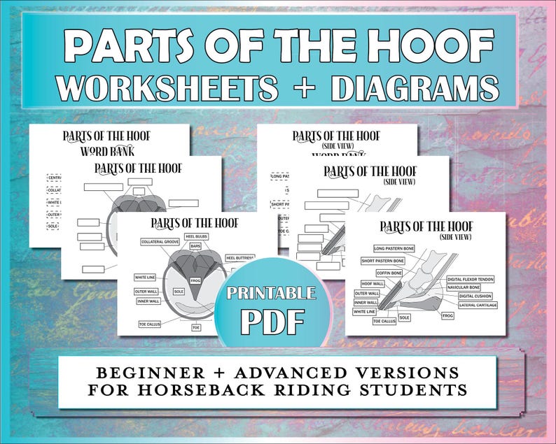 Parts of the Hoof Printable Diagram, Horse Hoof Equestrian Printable ...