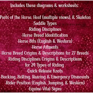 Intermediate Rider Lesson Plan MEGA Bundle Horseback Riding Exercises ...