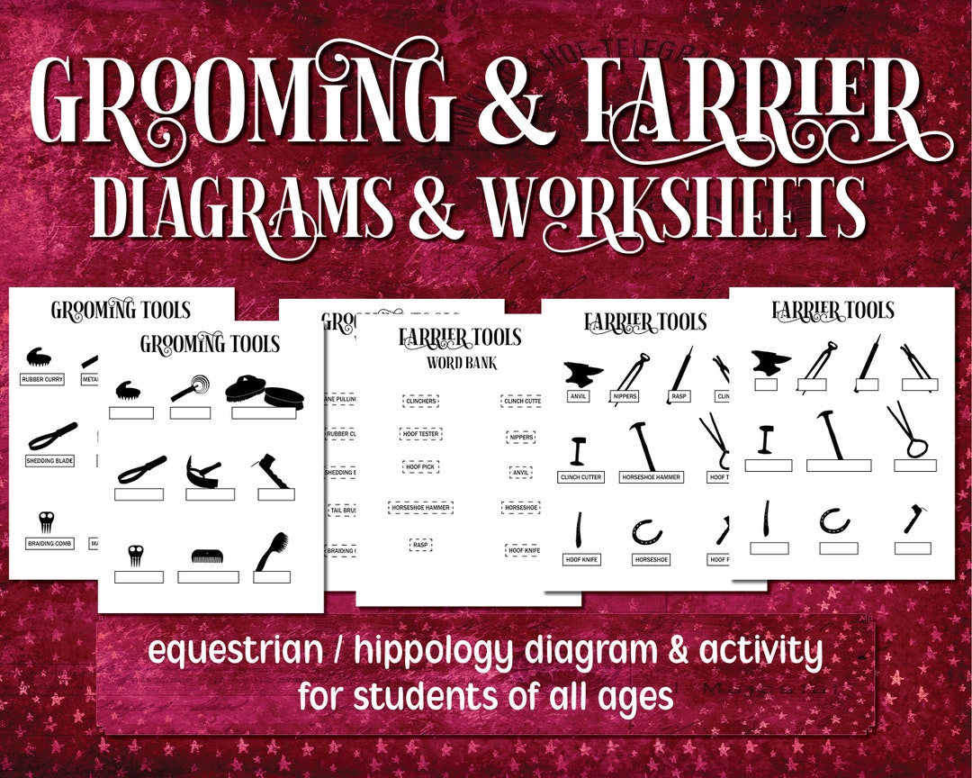 Horse Grooming and Farrier Printable Diagrams, Equestrian Printable ...
