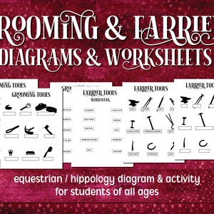 Horse Grooming and Farrier Printable Diagrams, Equestrian Printable ...