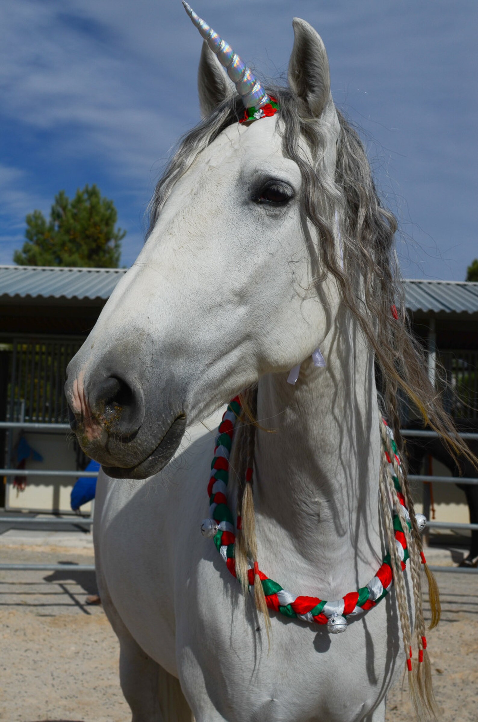 Sleigh Bells Neck Wreath for Horse or Pony | Horse Neck Wreath | Neck ...