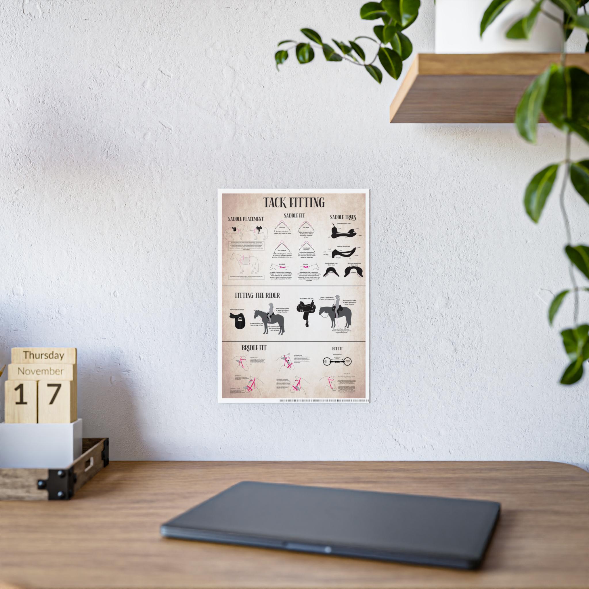 Bridle and Saddle Fit Poster, Horse Tack Knowledge Equestrian Poster ...