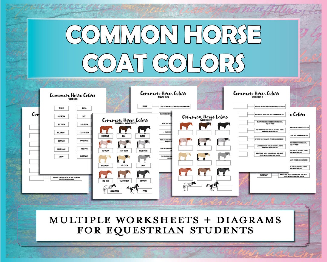 Common Horse Colors Diagrams and Worksheets, Equestrian Printables for ...
