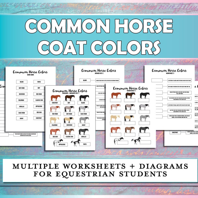 Horse Color Worksheet - Etsy