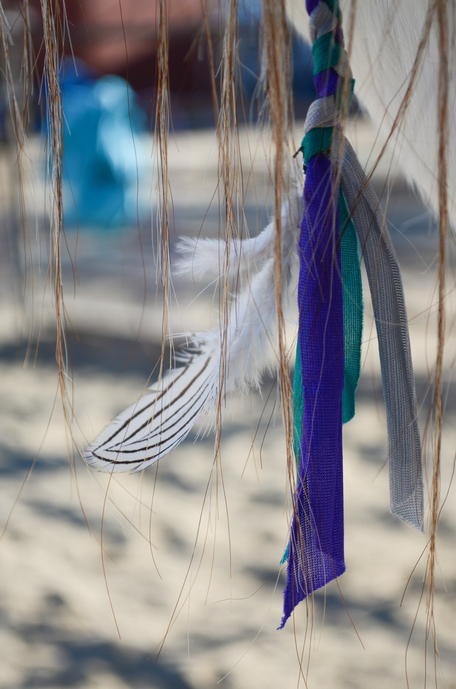 Braided Feather Running Braid Mane Clip in Accessory Mane - Etsy