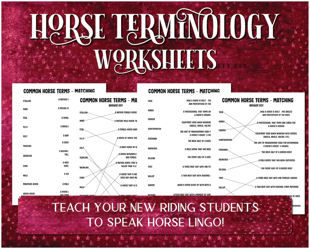 Horse Terminology Printable Worksheet, Equestrian Activity for Beginner ...