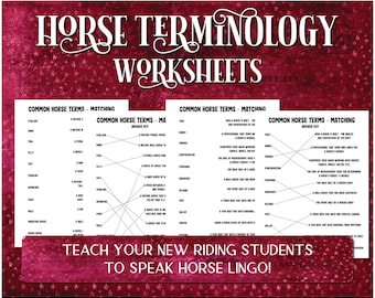 Horse Camp Activity Book - Etsy