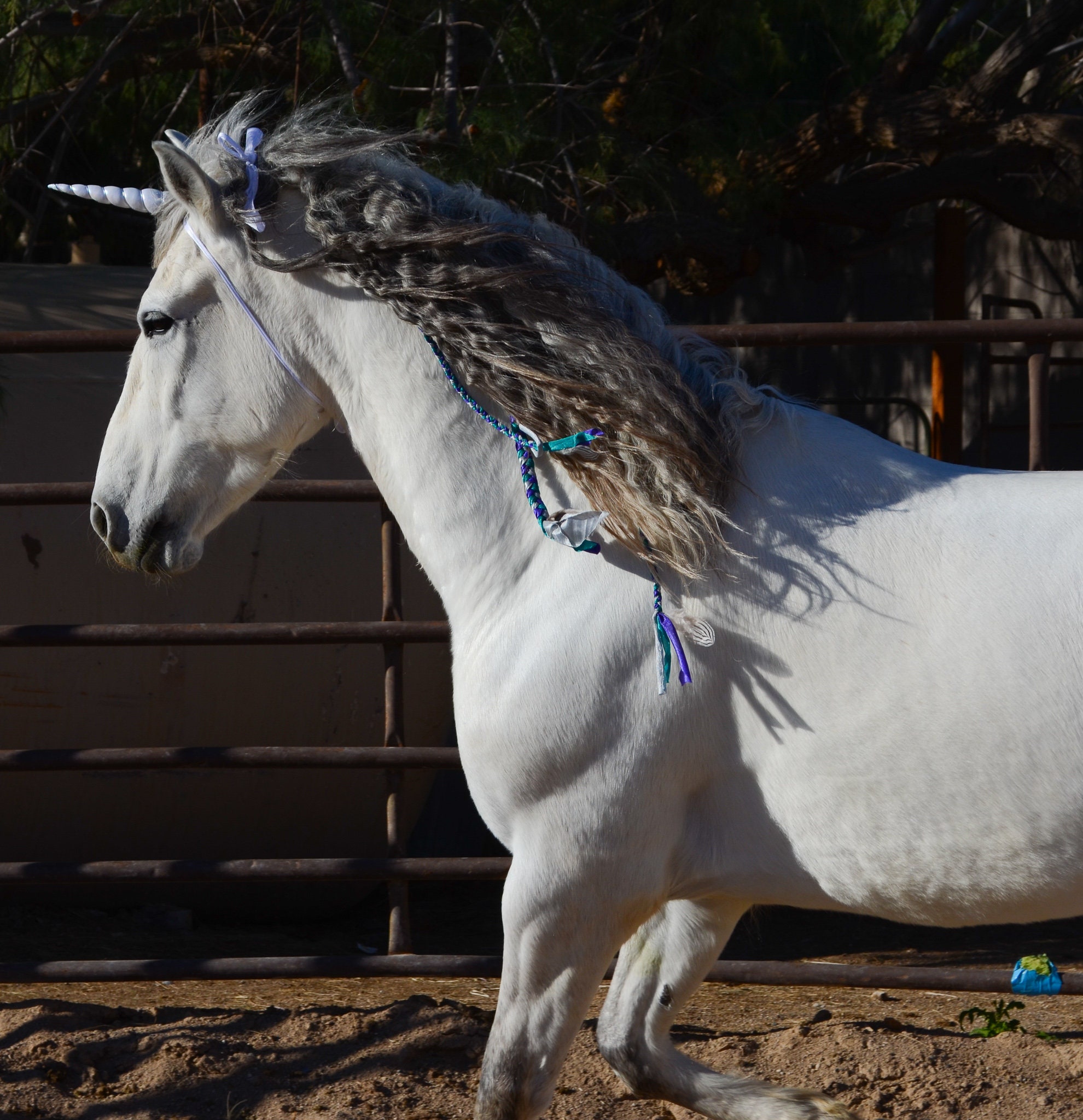 Braided Feather Mane & Tail Accessories for Horse or Pony | Etsy