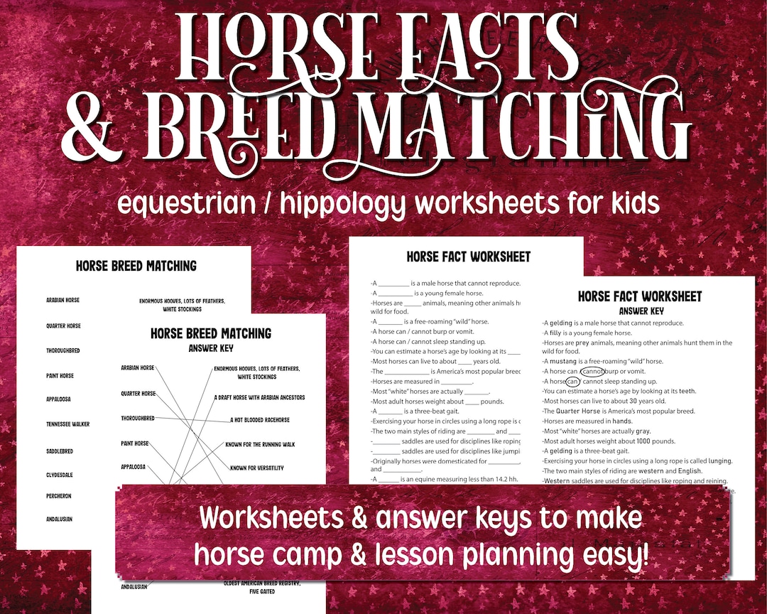 Horse Facts and Horse Breeds Worksheets, Equestrian Printable Worksheet ...