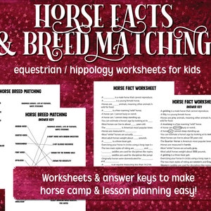 Horse Facts and Horse Breeds Worksheets, Equestrian Printable Worksheet ...