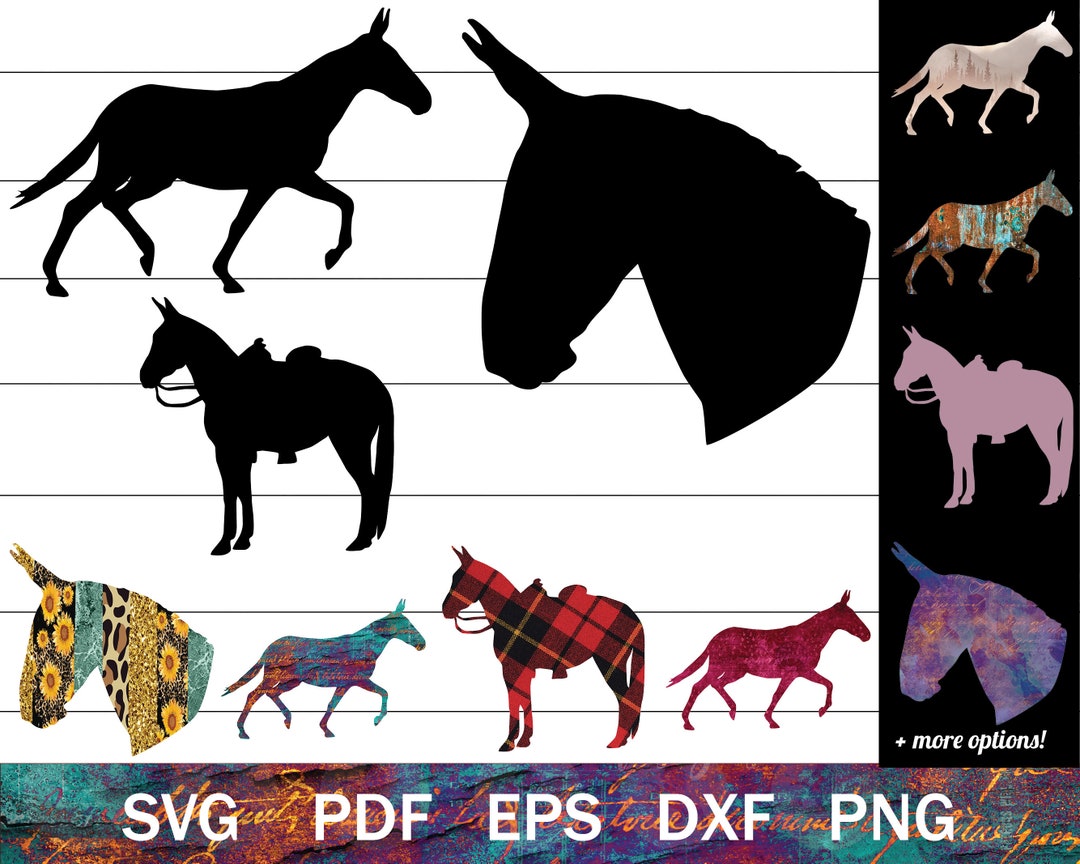 Mule SVG for Cricut | Mule SVG Bundle: Western Mule PNG, Trotting Mule ...