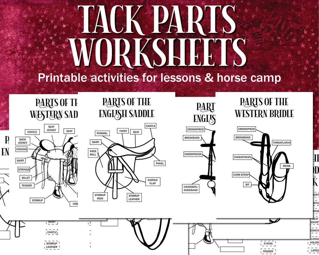 Tack Parts Printable Diagram, Saddle and Bridle Parts Equestrian ...