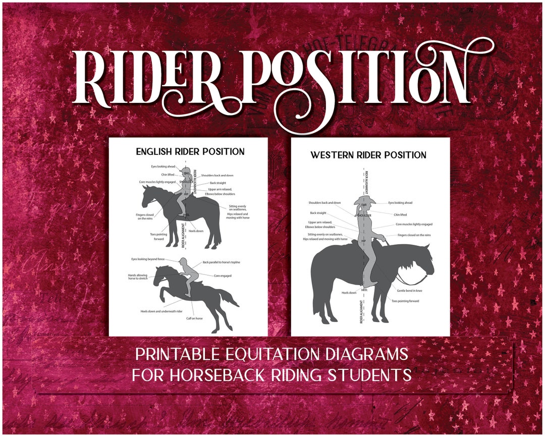 Horse Rider Position Printable, Equestrian Equitation Diagram, Western ...