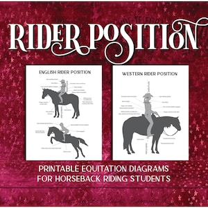 Horse Rider Position Printable, Equestrian Equitation Diagram, Western ...