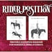 Horse Rider Position Printable Equestrian Equitation Diagram - Etsy