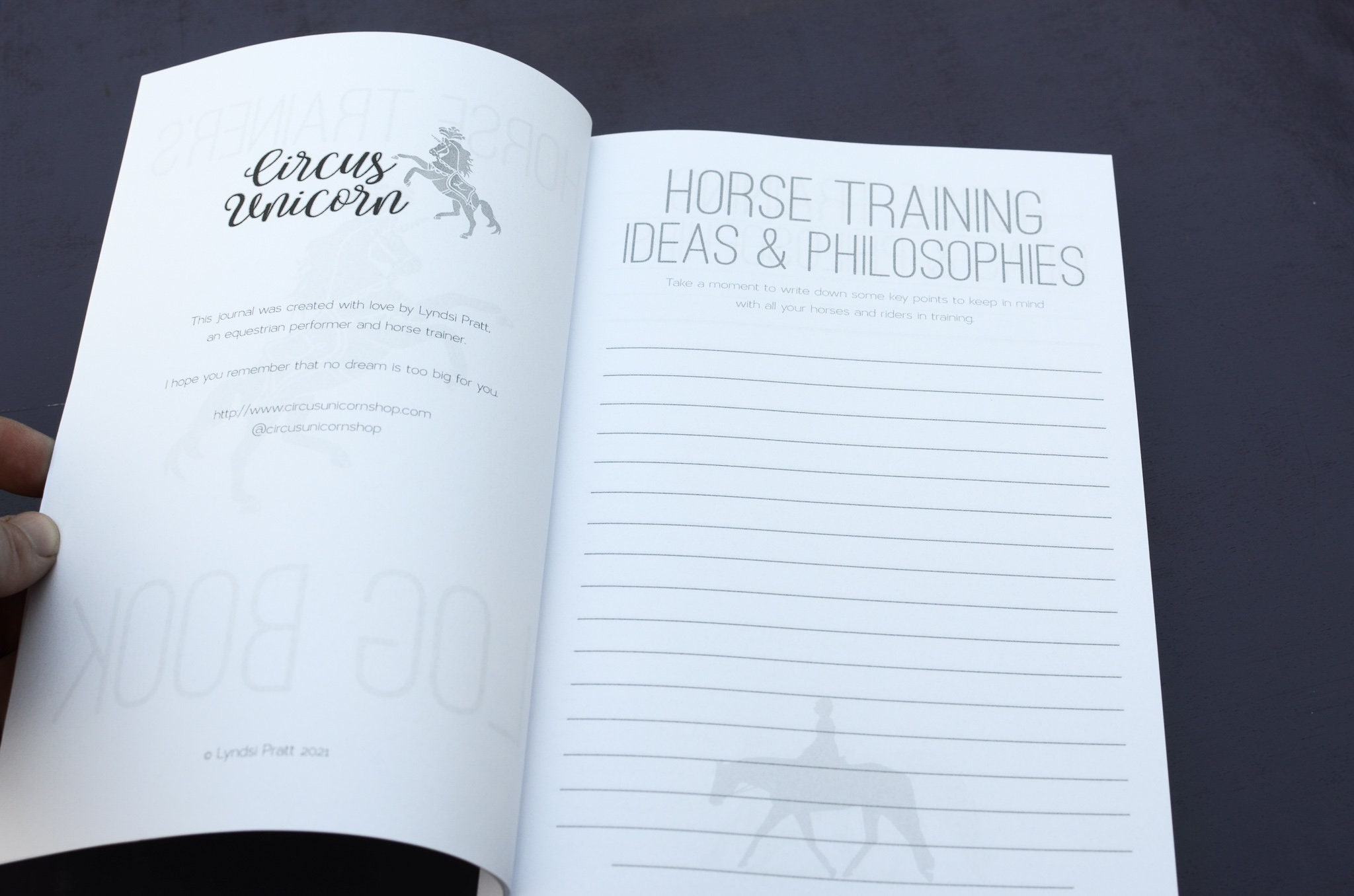 The Horse Trainer's Log Book - Planner & Journal for Equestrian Coaches ...