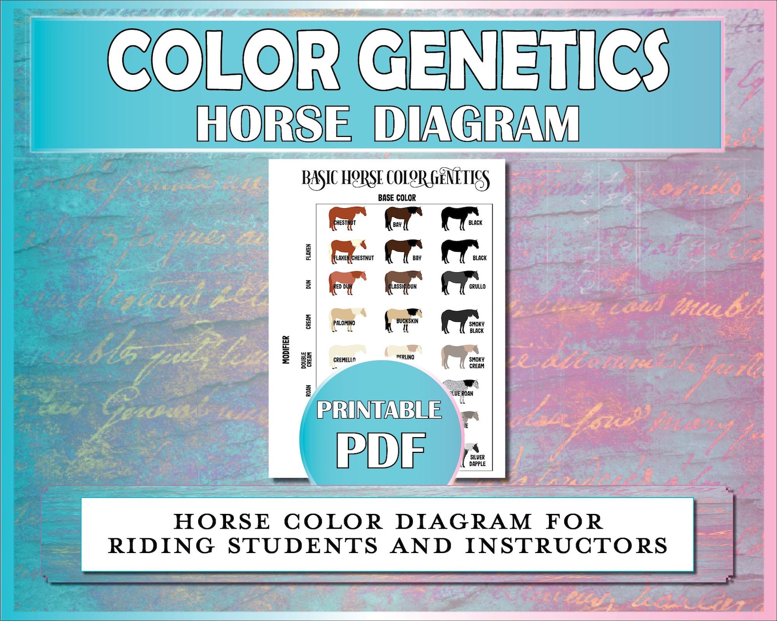 Horse Color Genetics Diagram, Equestrian Printables for Horse Camp ...