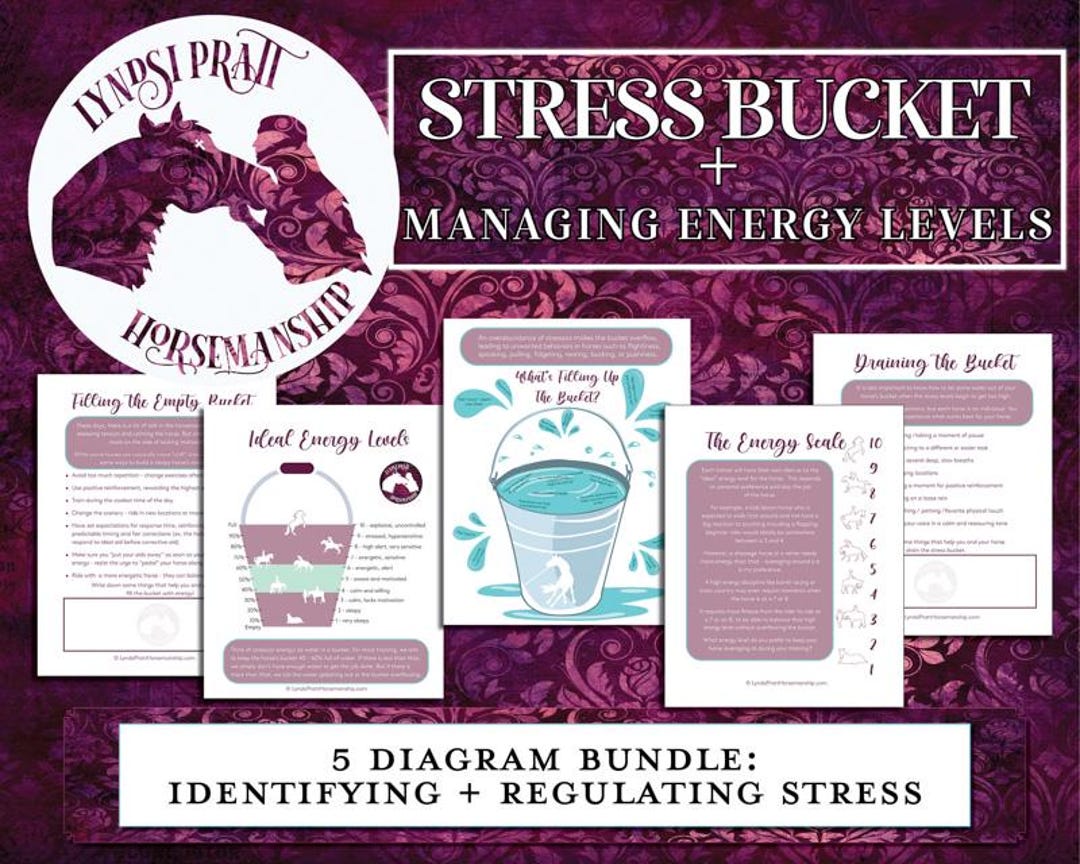 The Stress Bucket + Energy Levels Bundle: Positive Horse Training ...