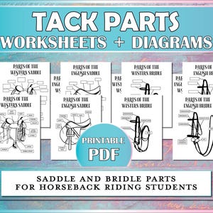 Tack Parts Printable Diagram, Saddle and Bridle Parts Equestrian ...
