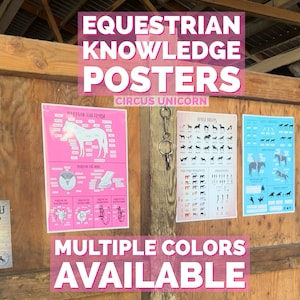 Parts of the Horse Poster, Horse Knowledge Equestrian Poster, Barn ...