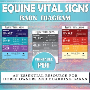 Equine Vital Signs Printable, Horse Vital Signs Poster, Equine TPR Sign ...
