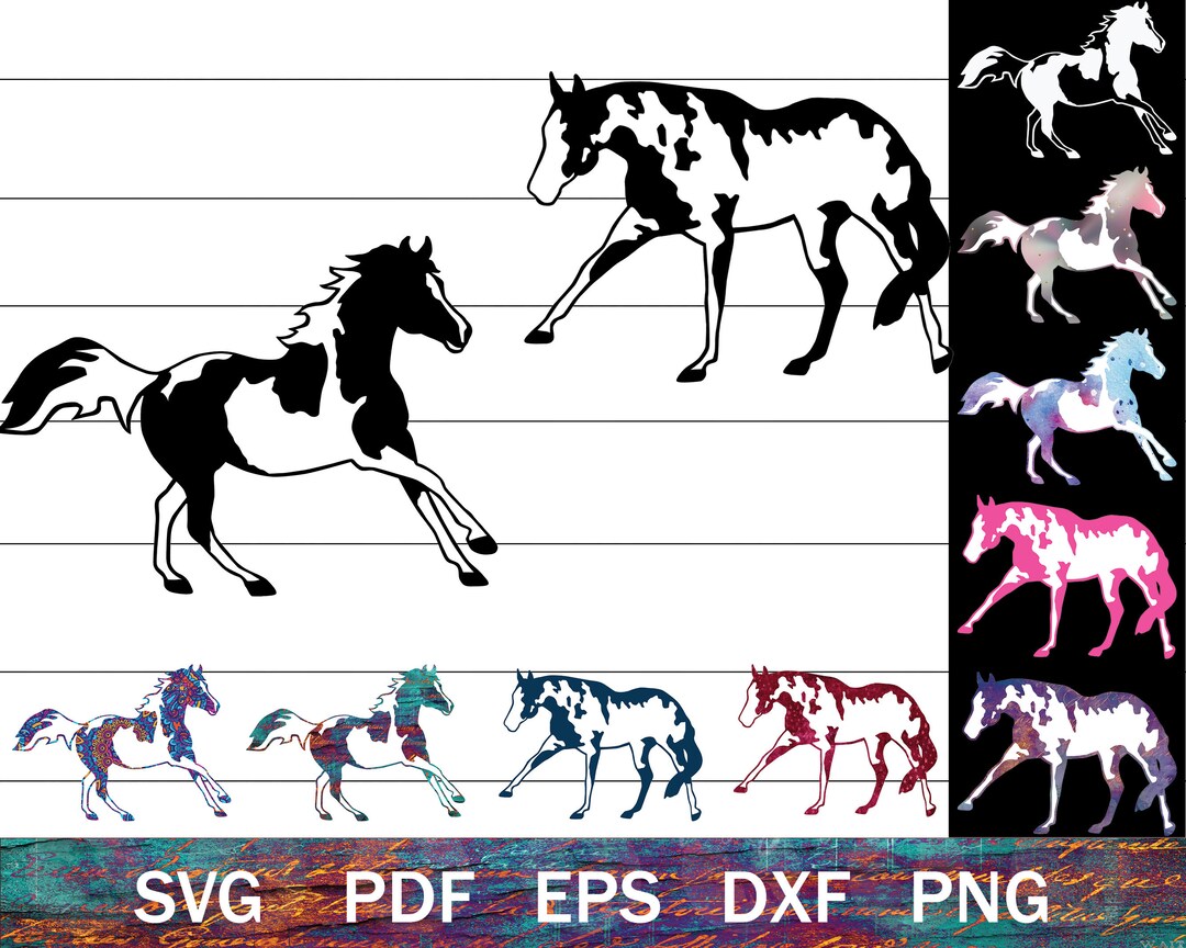 Paint Horse SVG for Cricut, Pinto Horse SVG, Horse Show SVG, Horse Show ...