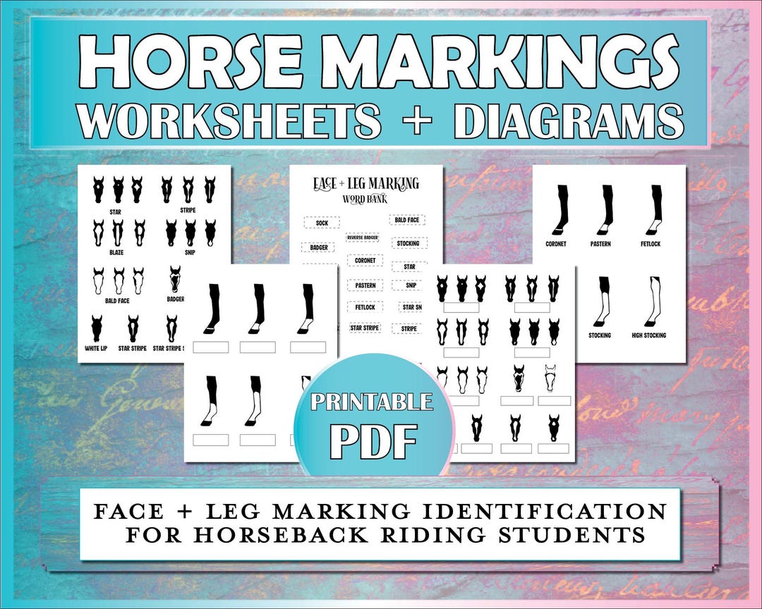 Horse Markings Printable Diagram, Equestrian Printable Worksheet for ...