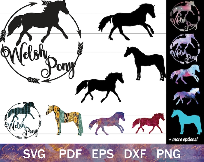 Welsh Pony SVG Bundle, Show Pony Clip Art, Welsh Pony Silhouetten PNG ...