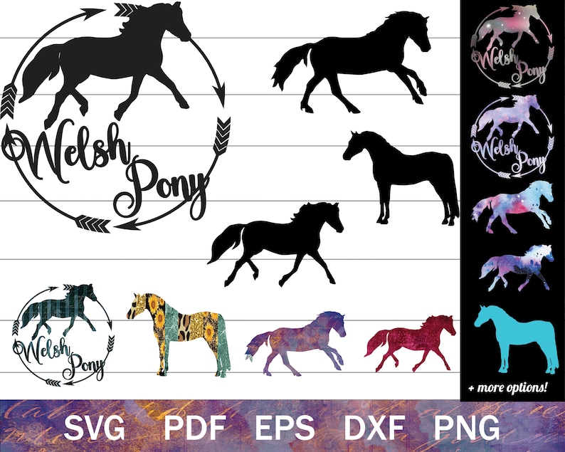Welsh Pony SVG Bundle, Show Pony Clip Art, Welsh Pony silhouettes PNG ...