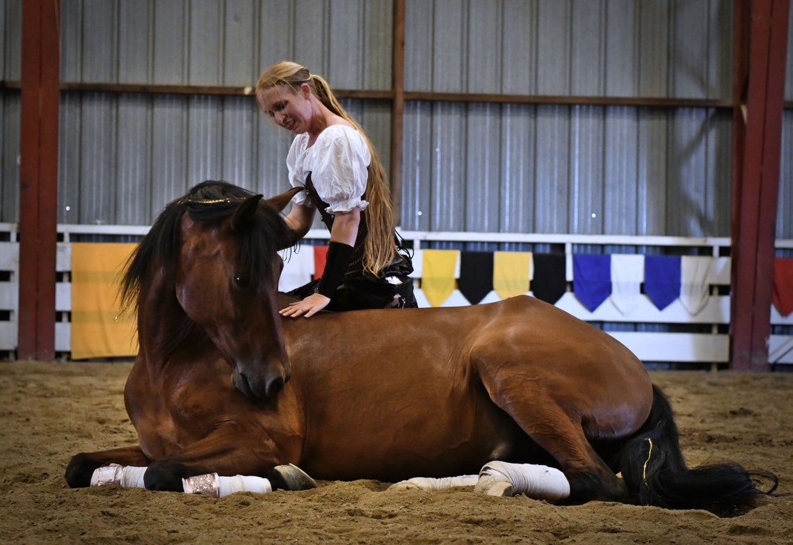 Mane and Tail Tinsels Mane Tinsel Clip In Mane Bling for - Etsy
