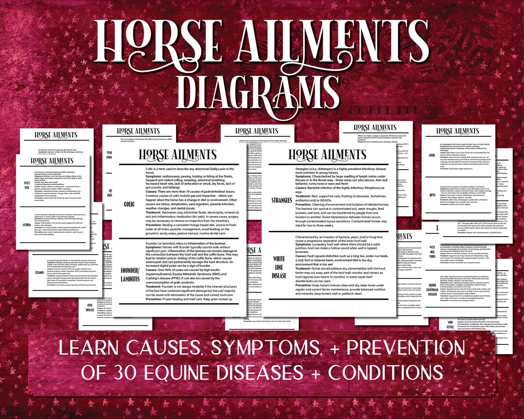 Horse Ailments Diseases Printable Diagrams, Equestrian Knowledge Pdfs ...