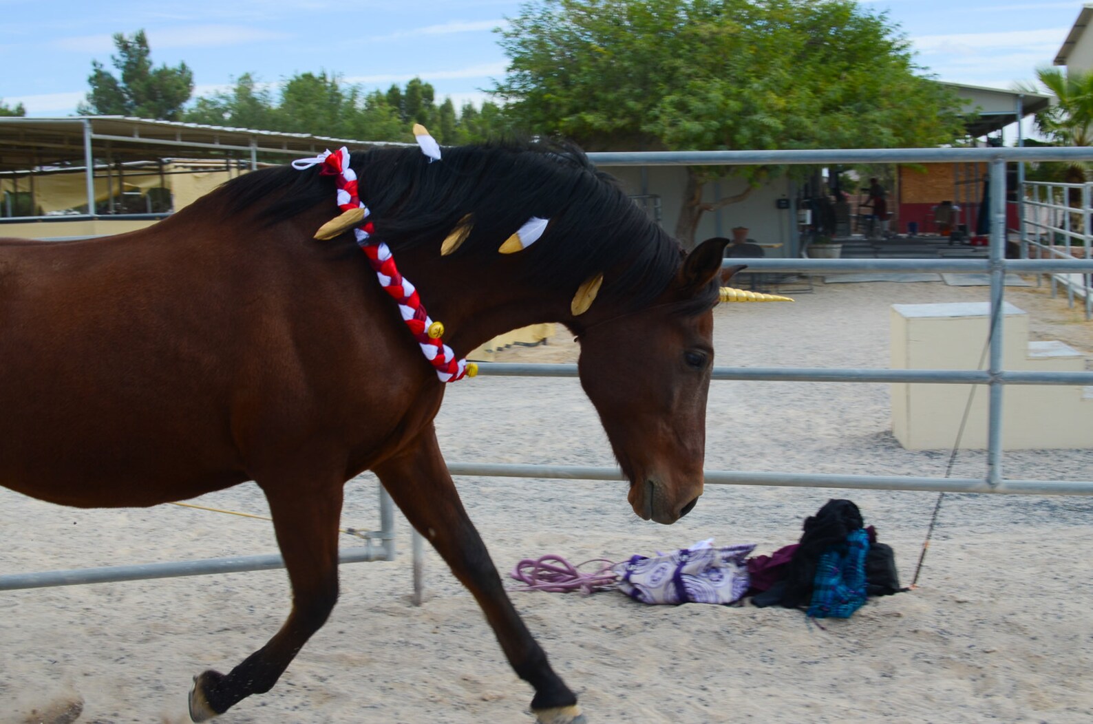 Sleigh Bells Neck Wreath for Horse or Pony Horse Neck Wreath - Etsy