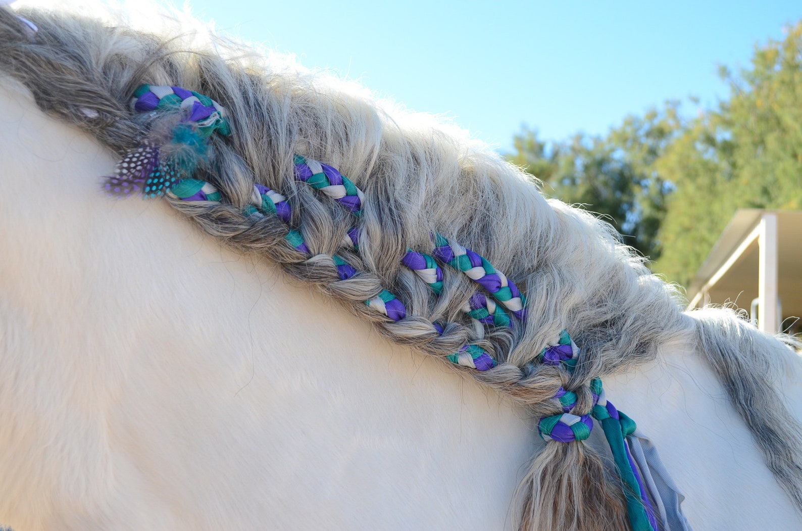 Braided Feather Running Braid Mane Clip in Accessory Mane - Etsy