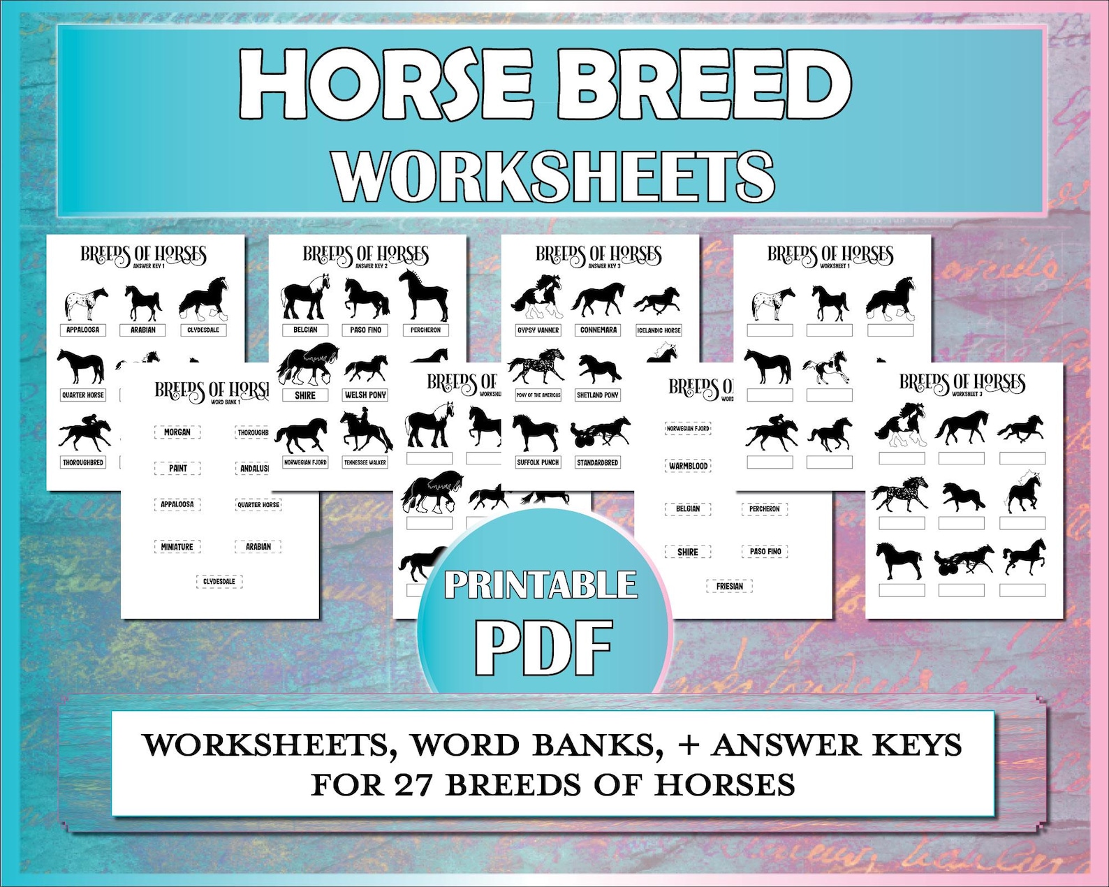 Horse Breed Identification Printable Worksheets, Horse Breeds ...