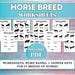Horse Breed Identification Printable Worksheets, Horse Breeds ...