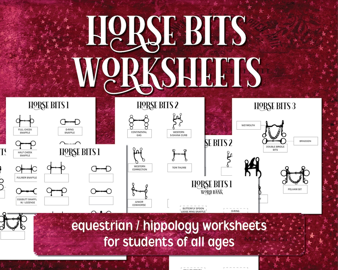 Horse Bits Printable Diagram, Western and English Bits Equestrian ...