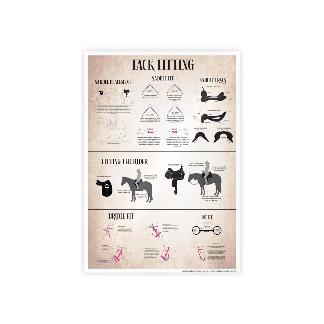 Bridle and Saddle Fit Poster, Horse Tack Knowledge Equestrian Poster ...