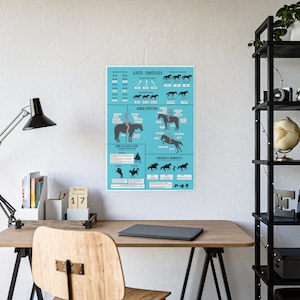 Gaits, Rider Position, & Safety Poster, Horse Knowledge Equestrian ...