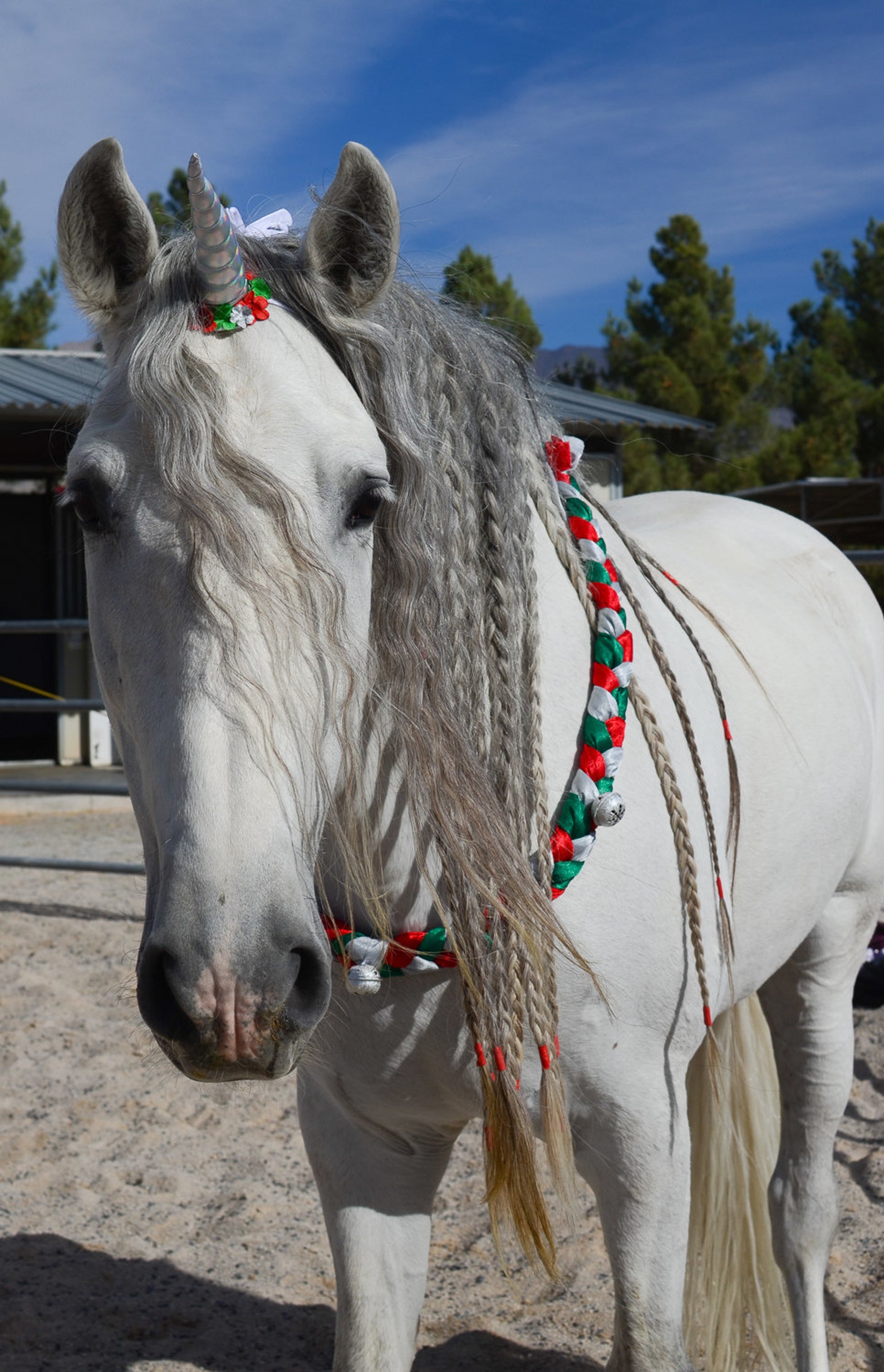 Sleigh Bells Neck Wreath for Horse or Pony | Horse Neck Wreath | Neck ...