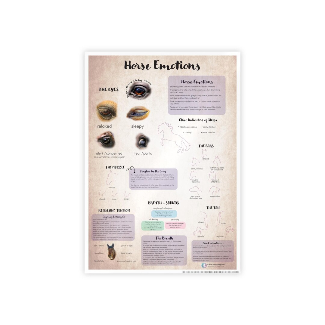 Horse Emotions Poster, Horse Knowledge Equestrian Poster, Barn Poster ...