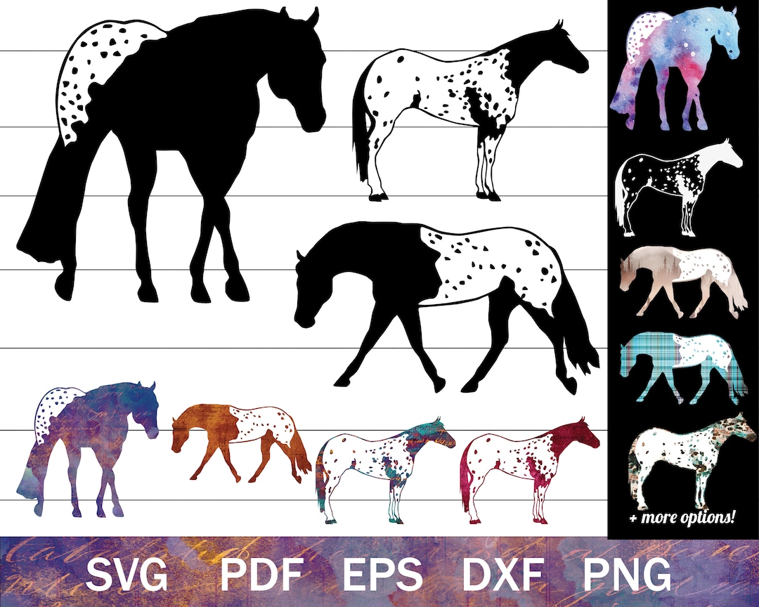 Appaloosa Horse SVG for Cricut, Appaloosa Horse Silhouette Cut Files ...