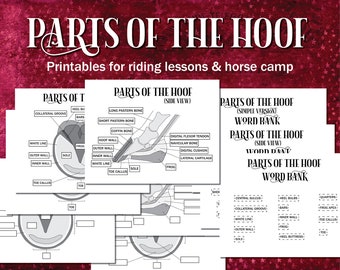 Parts of the Horse Hoof Horse Worksheet Horse Camp Activity - Etsy