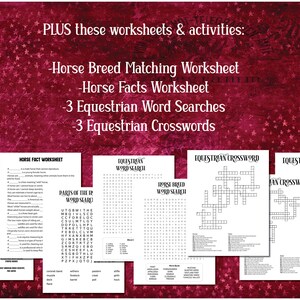 Equestrian Knowledge Diagrams & Worksheets Horse Diagrams, Equine ...