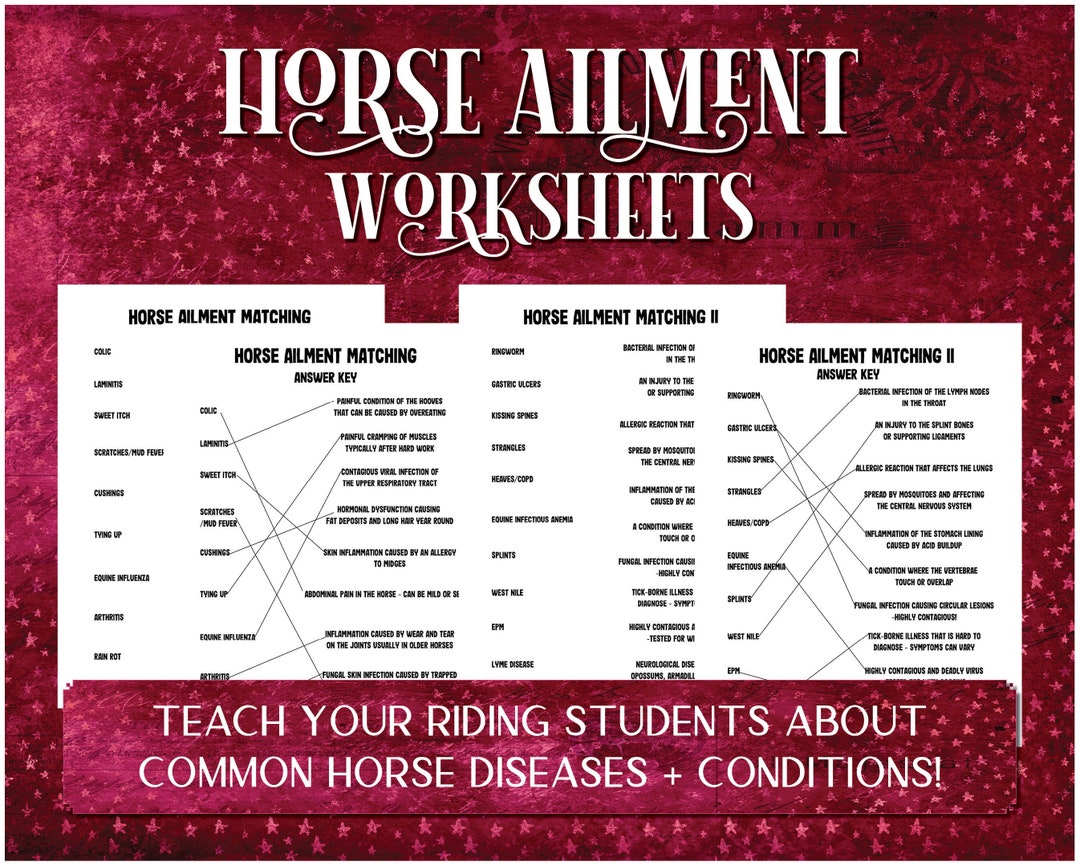 Horse Ailment Printable Worksheet, Equestrian Activity for Riding ...