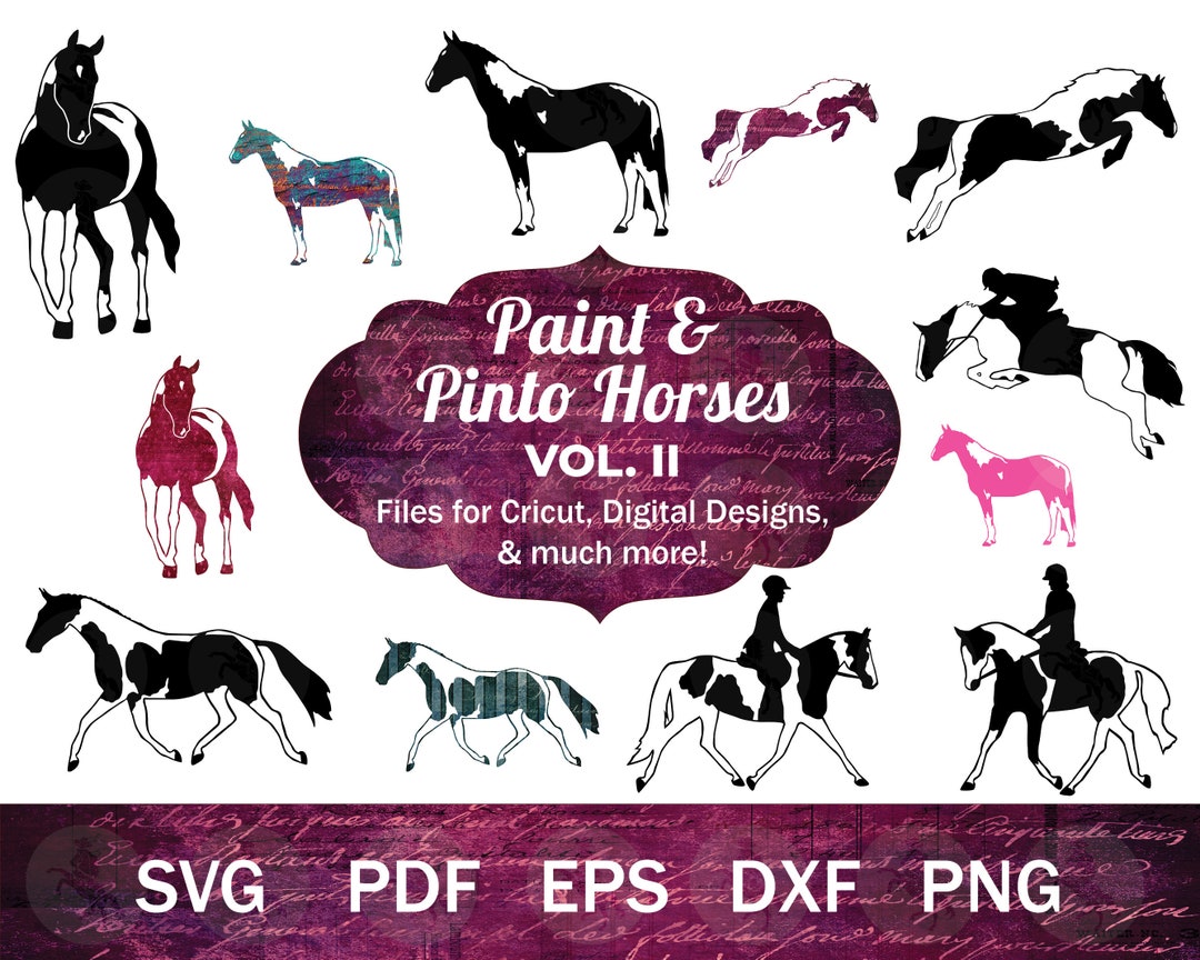Paint Horse SVG for Cricut, Pinto Horse SVG, English Horse SVG, Hunter ...