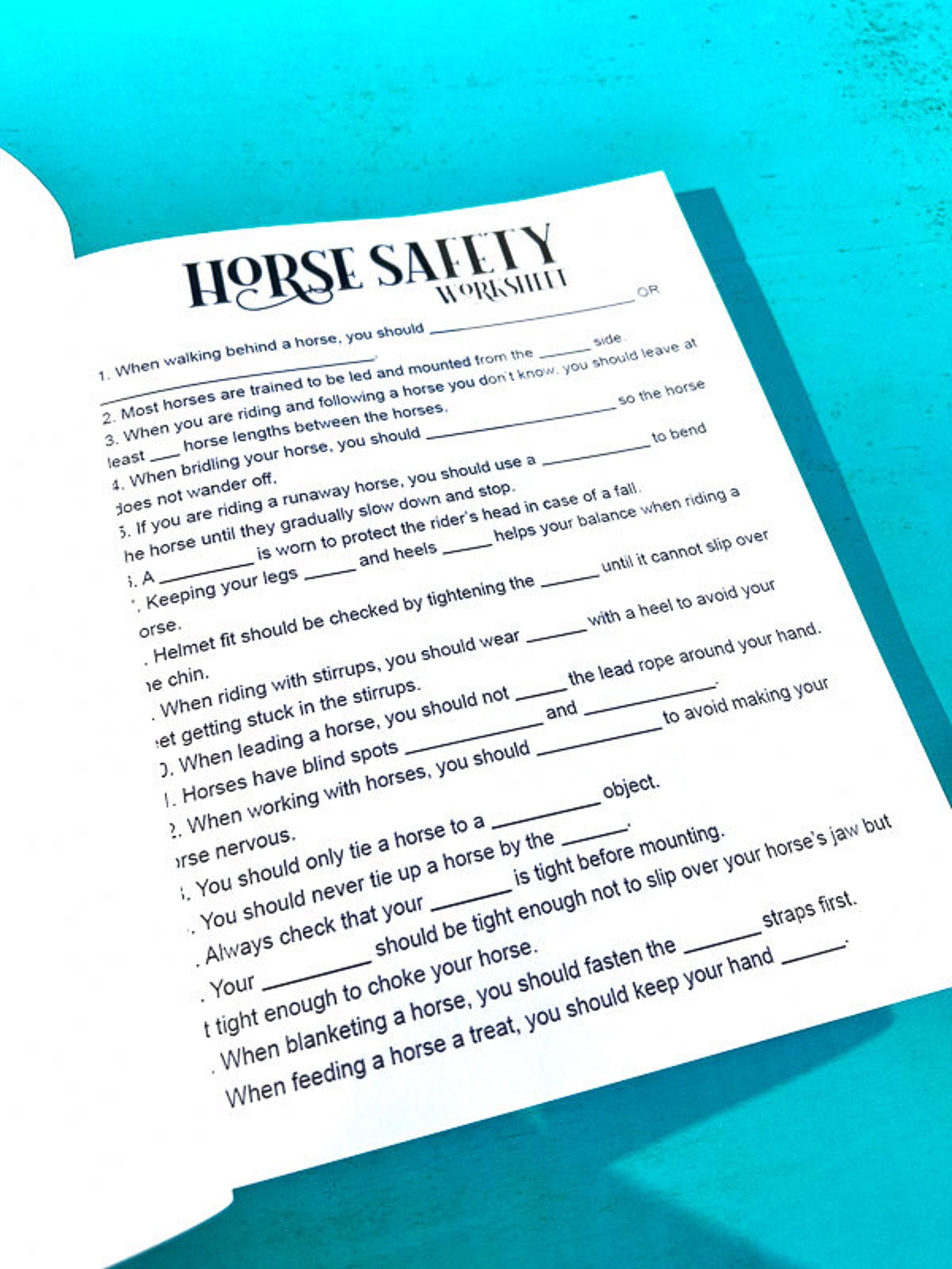 Riding Student's Horse Workbook | Horse Diagram and Knowledge ...
