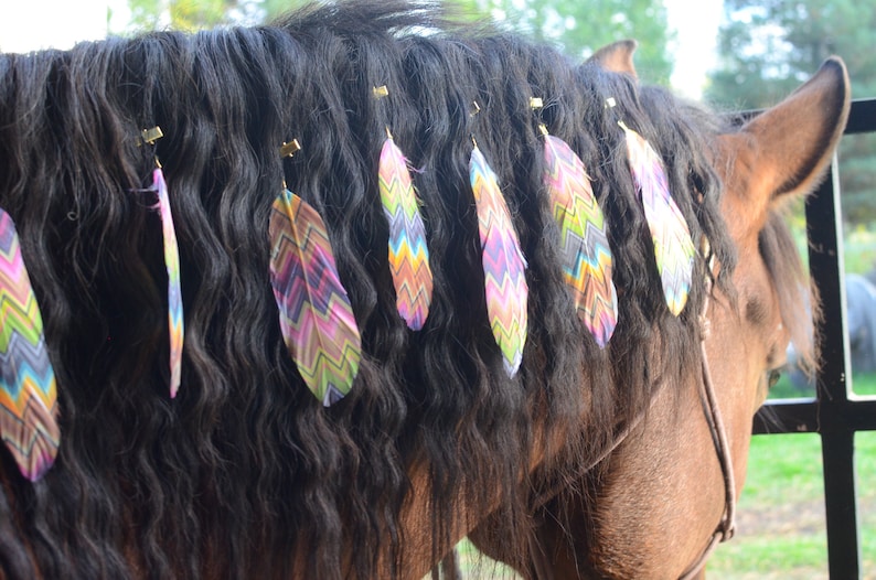 Colorful Plaid Mane Feathers for Horses and Ponies Feather - Etsy