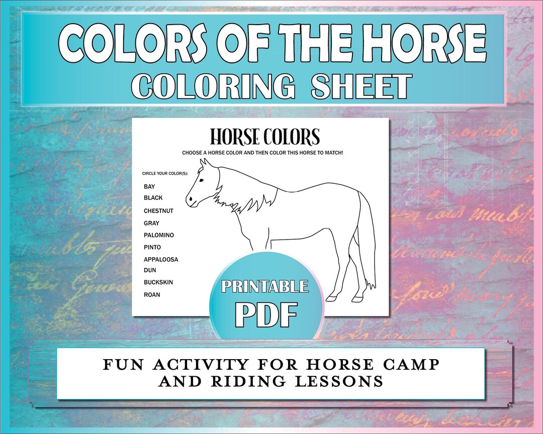Horse Colors Printable Coloring Sheet, Coat Colors Equestrian Coloring ...