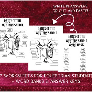 Equestrian Knowledge Diagrams & Worksheets Horse Diagrams, Equine ...