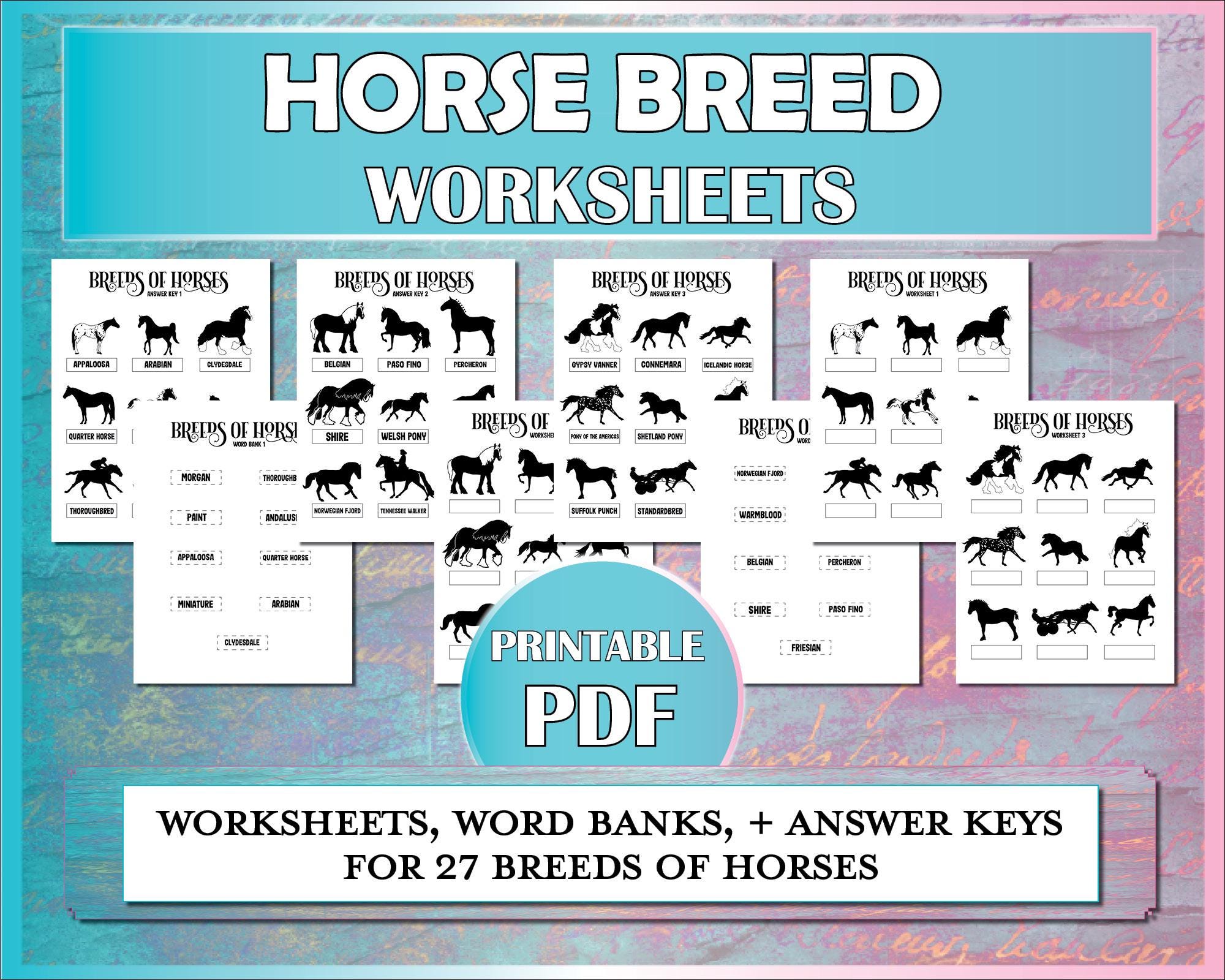 Horse Breed Identification Printable Worksheets, Horse Breeds ...